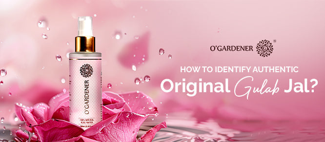 How to Identify Authentic Original Gulab Jal | O'Gardener